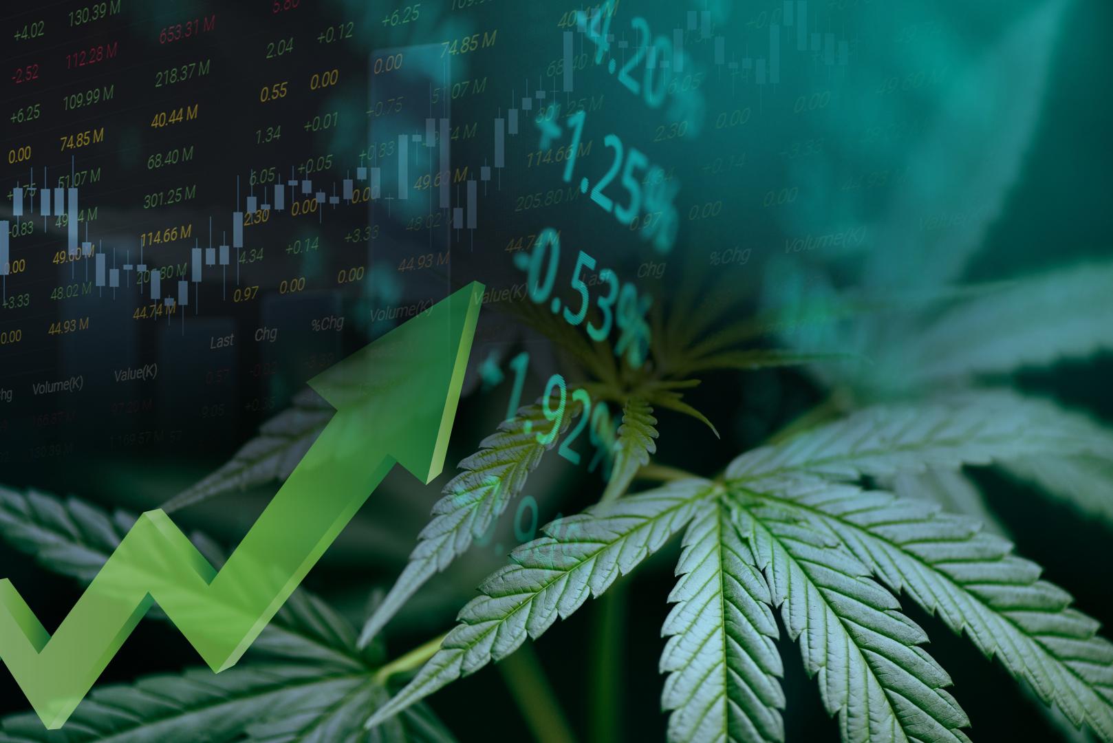 The World’s Largest Cannabis Company by Revenue was Created by the ...